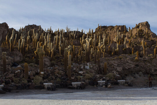 รูปภาพIncahuasi – เลือกดูภาพถ่ายสต็อก เวกเตอร์ และวิดีโอ1,928 | Adobe Stock