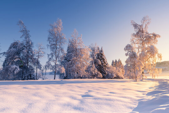 Frozon Images – Browse 63 Stock Photos, Vectors, and Video | Adobe Stock