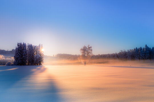 รูปภาพFrozon – เลือกดูภาพถ่ายสต็อก เวกเตอร์ และวิดีโอ66 | Adobe Stock