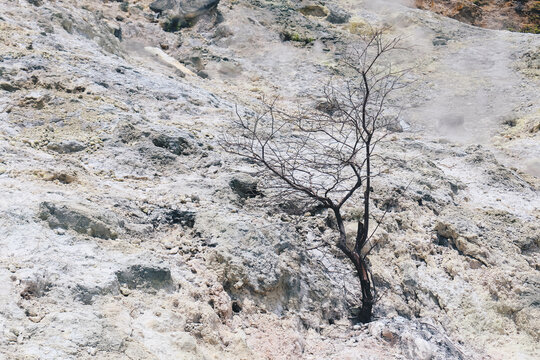 Faulschlamm Bilder – Durchsuchen 768 Archivfotos, Vektorgrafiken und ...