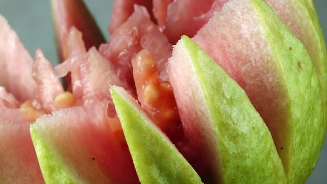 「Guava Slice」の写真素材 | 14,994件の無料イラスト画像 | Adobe Stock