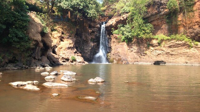 Goa Forest Images – Browse 4,131 Stock Photos, Vectors, and Video ...