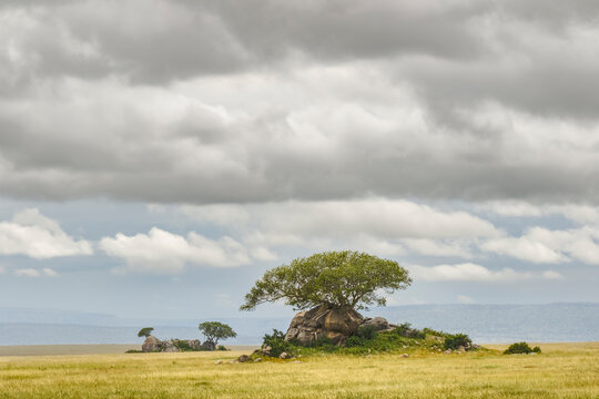 รูปภาพInselberg – เลือกดูภาพถ่ายสต็อก เวกเตอร์ และวิดีโอ3,495 | Adobe Stock