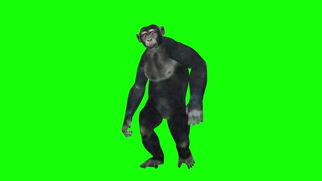 Swaggering Images – Browse 2,816 Stock Photos, Vectors, and Video ...