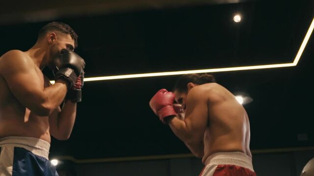 รูปภาพBoxers – เลือกดูภาพถ่ายสต็อก เวกเตอร์ และวิดีโอ548,578 | Adobe Stock