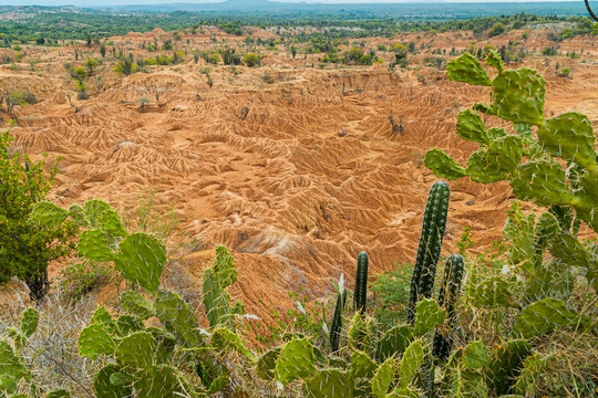 รูปภาพDesiertos – เลือกดูภาพถ่ายสต็อก เวกเตอร์ และวิดีโอ244 | Adobe Stock