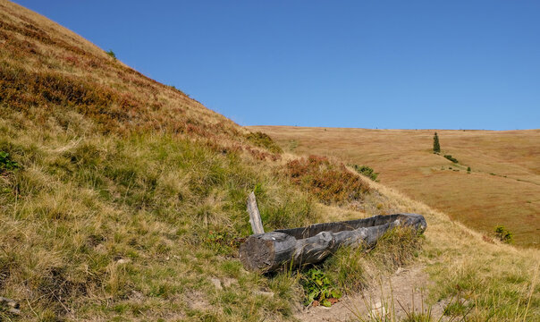 "Cattle Trough" Images – Browse 43 Stock Photos, Vectors, and Video ...