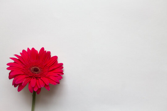 Letter Background Hd