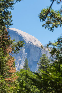 Halfe Images – Browse 37 Stock Photos, Vectors, and Video | Adobe Stock