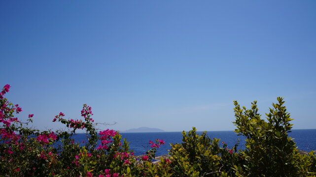 Sunnily bilder – Bläddra bland 11,769 stockfoton, vektorer och videor ...