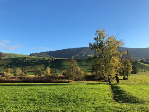 Seeli Bilder – Durchsuchen 182 Archivfotos, Vektorgrafiken und Videos ...