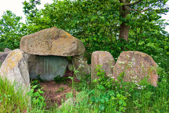 รูปภาพSteingrab – เลือกดูภาพถ่ายสต็อก เวกเตอร์ และวิดีโอ307 | Adobe Stock