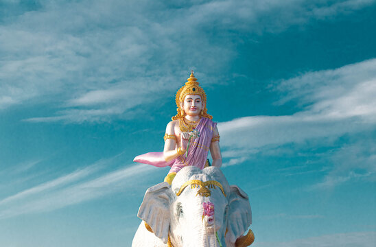 Nelligala Images – Browse 83 Stock Photos, Vectors, and Video | Adobe Stock