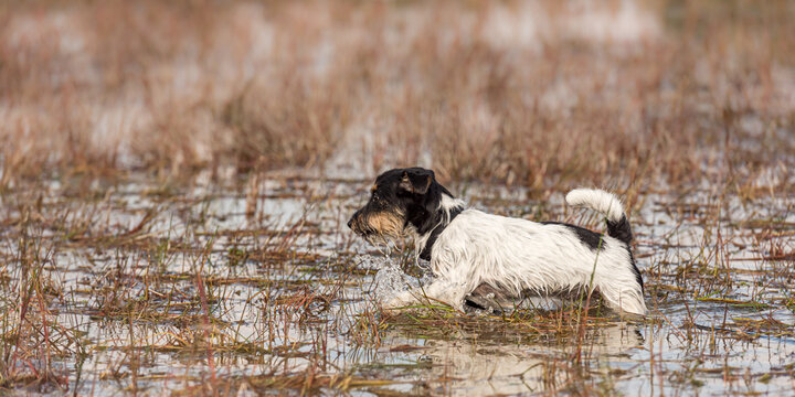 Trinking bilder – Bläddra bland 95 stockfoton, vektorer och videor ...