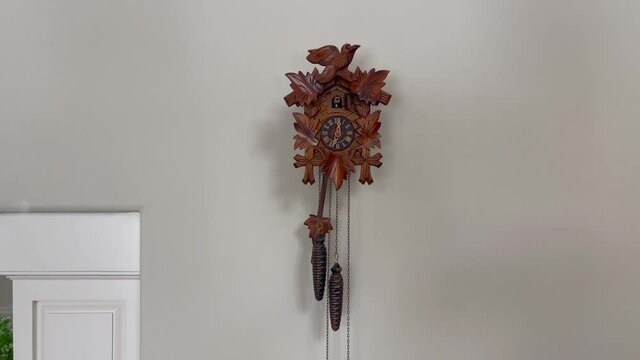 Imagens de Cuckoo-Clock – Explore Fotografias do Stock, Vetores e Vídeos de 3,178 | Adobe Stock