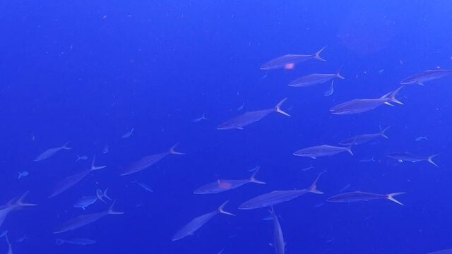 "Rainbow Runner" Images – Parcourir 1,072 le catalogue de photos ...