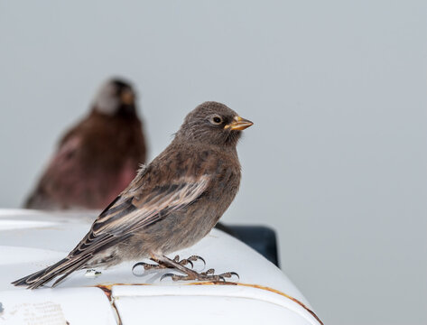 รูปภาพAdukt – เลือกดูภาพถ่ายสต็อก เวกเตอร์ และวิดีโอ203 | Adobe Stock