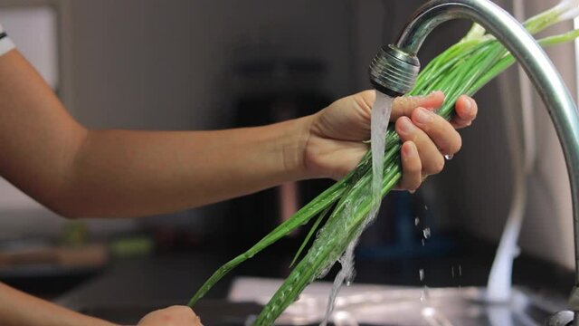 "Onion Bulb" Images – Browse 746 Stock Photos, Vectors, and Video ...