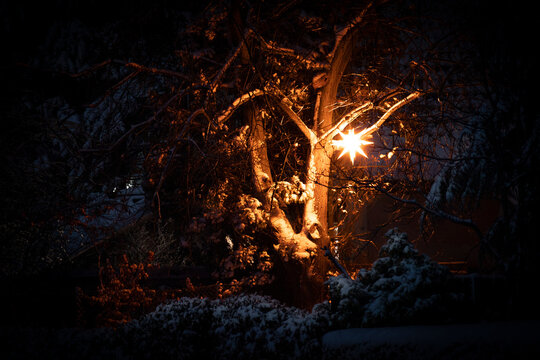 รูปภาพBrandwunde – เลือกดูภาพถ่ายสต็อก เวกเตอร์ และวิดีโอ8,160 | Adobe ...