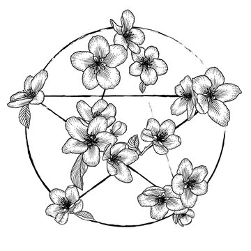 Pentagram Nature Images – Browse 2,222 Stock Photos, Vectors, and Video ...