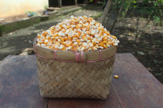 "Shelled Corn" Images – Browse 54 Stock Photos, Vectors, and Video ...