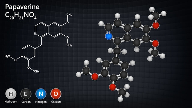 Papaverin Images – Browse 49 Stock Photos, Vectors, and Video | Adobe Stock