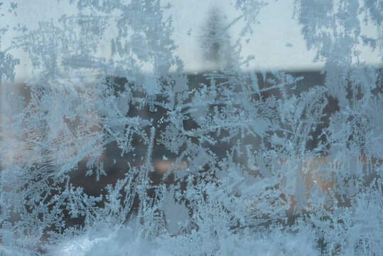 Imágenes de Biomorph: descubre bancos de fotos, ilustraciones, vectores ...