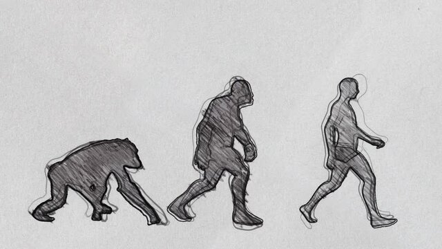 "Human Evolution" Images – Browse 1,910 Stock Photos, Vectors, and ...