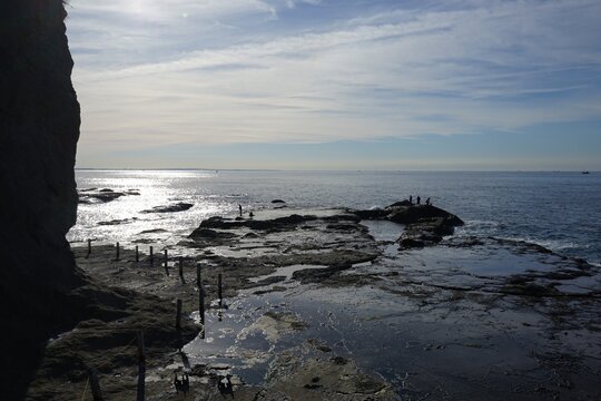 Catamite bilder – Bläddra bland 1,245 stockfoton, vektorer och videor ...