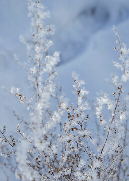 Feary Images – Browse 42 Stock Photos, Vectors, and Video | Adobe Stock