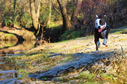 Heureu Images – Browse 16 Stock Photos, Vectors, and Video | Adobe Stock