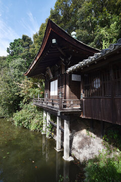 Catamite Bilder – Durchsuchen 1,098 Archivfotos, Vektorgrafiken und ...