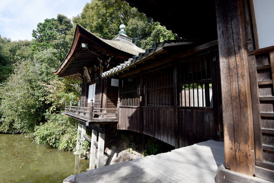 Catamite 影像 – 瀏覽 1,098 個素材庫相片、向量圖和影片 | Adobe Stock
