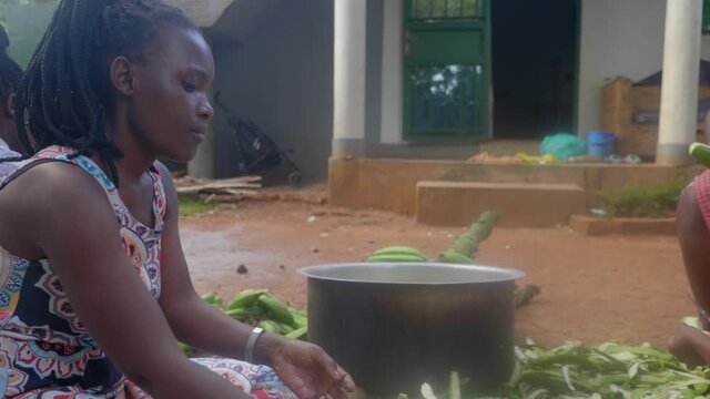 รูปภาพIbitoke – เลือกดูภาพถ่ายสต็อก เวกเตอร์ และวิดีโอ422 | Adobe Stock