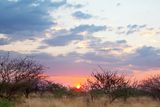 Sunrise In African Bush Images – Browse 9,103 Stock Photos, Vectors ...
