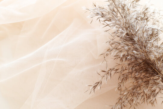 รูปภาพTull – เลือกดูภาพถ่ายสต็อก เวกเตอร์ และวิดีโอ200 | Adobe Stock