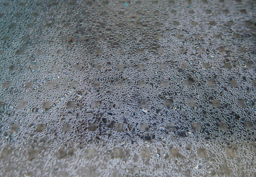 Imágenes de Biomorph: descubre bancos de fotos, ilustraciones, vectores ...