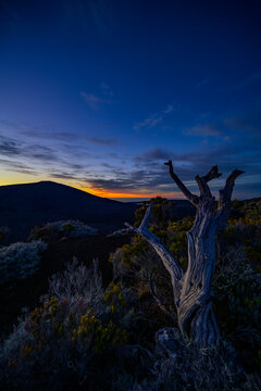 รูปภาพLavasee – เลือกดูภาพถ่ายสต็อก เวกเตอร์ และวิดีโอ116 | Adobe Stock