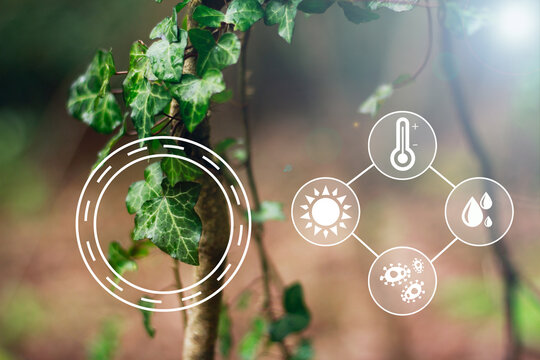 Primordiale Images – Browse 4 Stock Photos, Vectors, and Video | Adobe ...