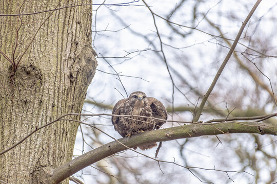 Fulminant bilder – Bläddra bland 378 stockfoton, vektorer och videor ...