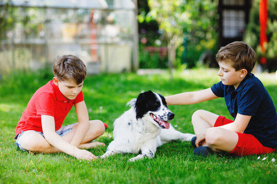 Kids Enjoying Outdoor Playtime with Dog