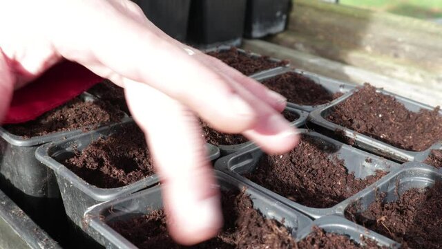 Dib Images – Browse 2,066 Stock Photos, Vectors, and Video | Adobe Stock