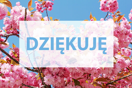 「Dziekuje」の写真素材 | 21件の無料イラスト画像 | Adobe Stock