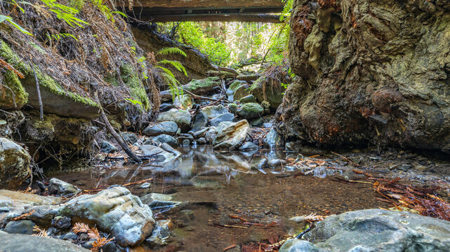 Flussbett Bilder – Durchsuchen 132,275 Archivfotos, Vektorgrafiken und ...