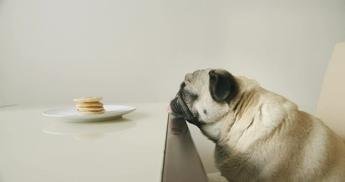 "Pancake Day" Images – Browse 5,706 Stock Photos, Vectors, and Video ...