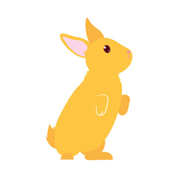 "Yellow Rabbit" Images – Browse 66 Stock Photos, Vectors, and Video ...