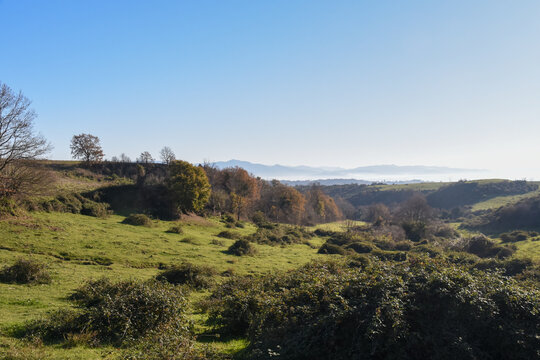 Labaru Images – Browse 63 Stock Photos, Vectors, and Video | Adobe Stock