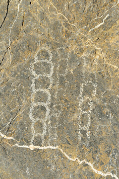 รูปภาพPetrograph – เลือกดูภาพถ่ายสต็อก เวกเตอร์ และวิดีโอ12,055 | Adobe ...