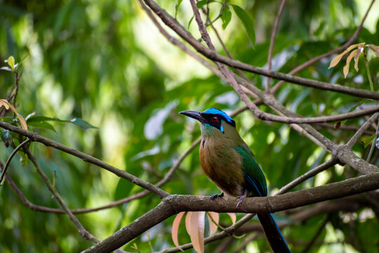 Barranquero Bilder – Durchsuchen 206 Archivfotos, Vektorgrafiken und ...