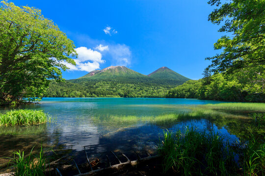 「阿寒国立公園」の画像 - 2,894 件の Stock 写真、ベクターおよびビデオ | Adobe Stock
